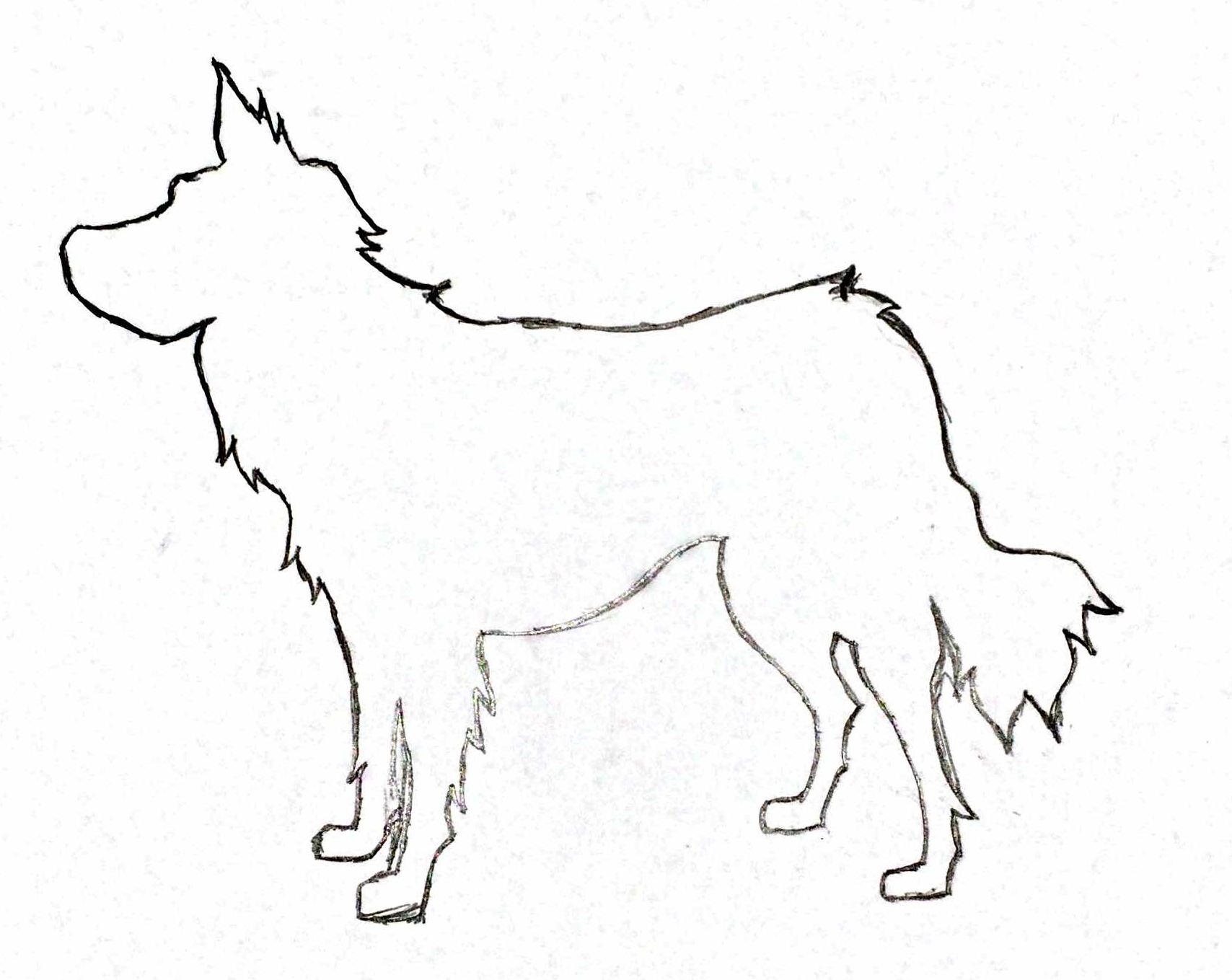 The Dog Geek - Kris Sheppard Creative